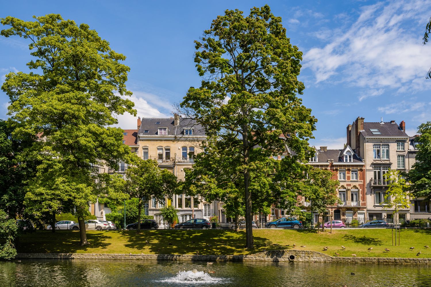 Rond de vijvers van Elsene – Korei guided tours